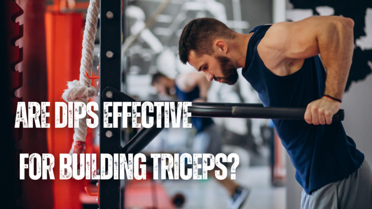 Are Dips Effective For Building Triceps? Answers Here