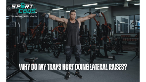 Why Do My Traps Hurt Doing Lateral Raises? (Causes, Solutions, and More)
